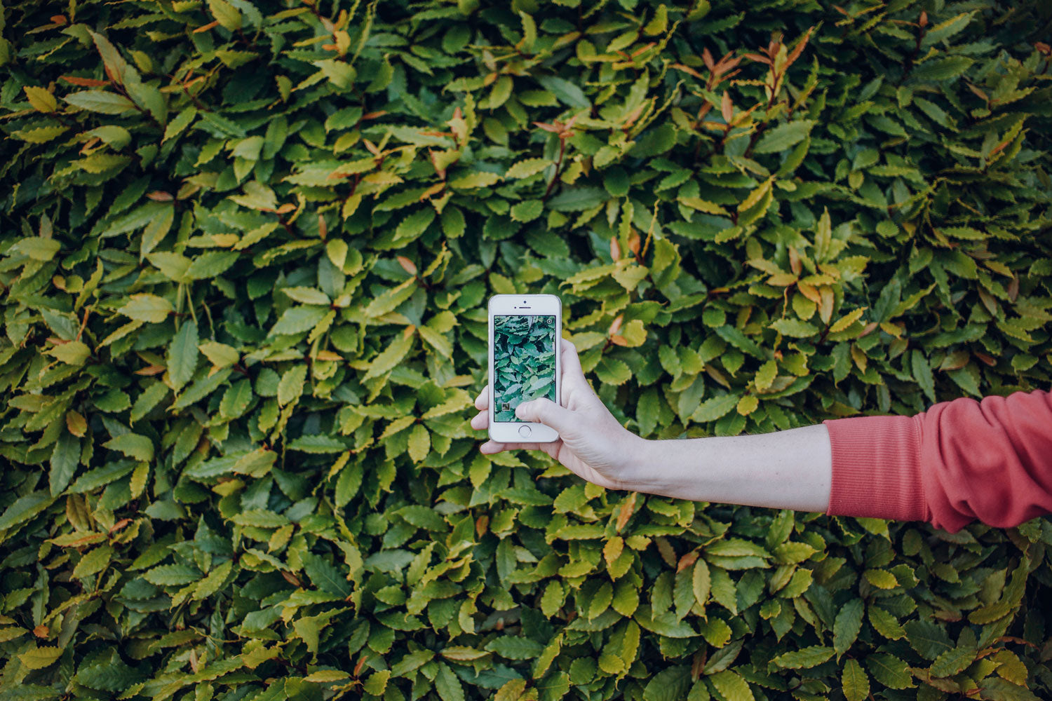 The 11 Best Environmental & Sustainability Apps You Need To Know About ...